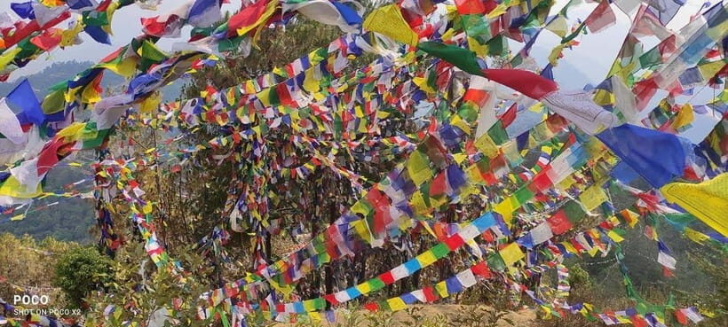 Namo Buddha and Thrangu Tashi Yangtse Monastery Tour - Practical Details and Value