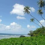 Namua Turtle Island and Eastern Upolu Tour - Practical Considerations