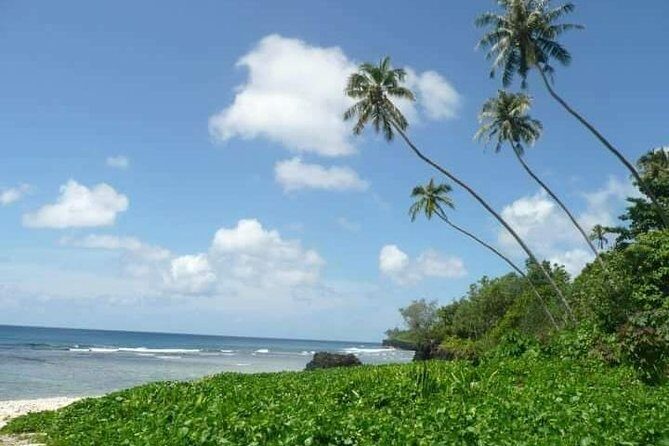 Namua Turtle Island and Eastern Upolu Tour - Practical Considerations