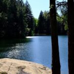 Nanaimo Urban Oasis Trail Walking Tour - Who Will Love This Tour?