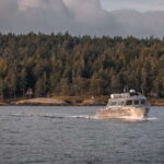Nanaimo: Whale Watching Semi-Covered Boat Tour - Practicalities