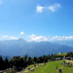 Nantou: Qingjing Farm Green Green Grassland Ticket & Combos - Analyzing the Value