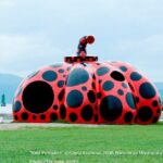Naoshima Island 1 Day Cycling Tour from Uno Station Okayama - FAQ