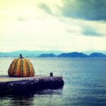 Naoshima private tour by national licensed tourguide - The Experience: What You Can Expect