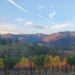 Napa and Sonoma Private Transportation - Authentic Experiences & Traveler Feedback