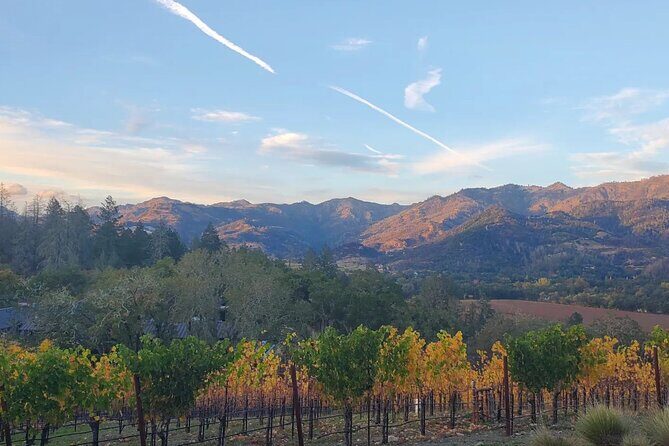 Napa and Sonoma Private Transportation - Authentic Experiences & Traveler Feedback