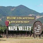 Napa and Sonoma Small Group Wine Tour from San Francisco - An In-Depth Look at the Napa and Sonoma Small Group Experience
