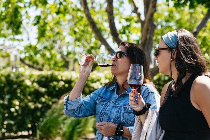 Napa Valley Wine and Food Tasting Tour from San Francisco - Who Would Love This Tour?