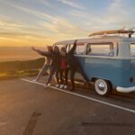 Napier and Hawkes Bay Scenic and Art Deco Tour by VW Kombi - Who Will Love This Tour?