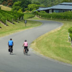 Napier: Cape Coast Winery Tour on Pedal or E-Bikes - What Makes This Tour Stand Out?