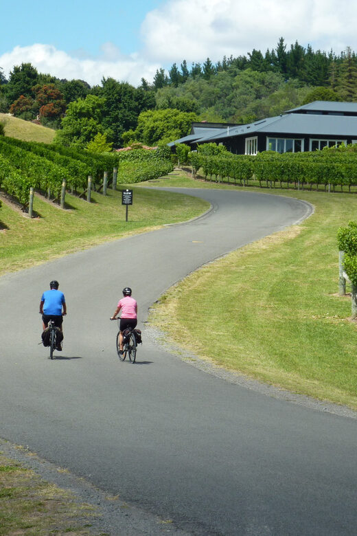 Napier: Cape Coast Winery Tour on Pedal or E-Bikes - What Makes This Tour Stand Out?
