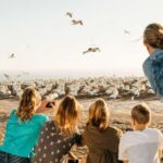 Napier: Cape Kidnappers Gannet, Nature & Sightseeing Tour - The Experience of Being Close to Nature
