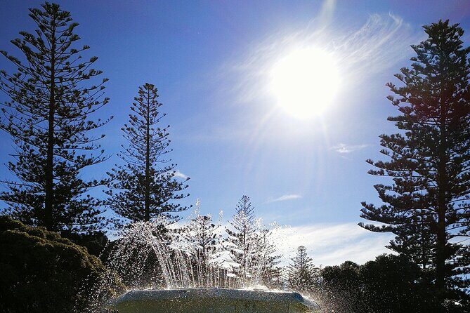 Napier Cruise Excursion Art Deco Tour and Wine Tasting - Visiting Māori Heritage: Atea A Rangi