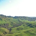 Napier Helicopter Flight & Classic Car Transfer - The Itinerary in Detail