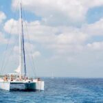 Naples: Catamaran Cruises with Wildlife Views - Authentic Perspectives from Reviews