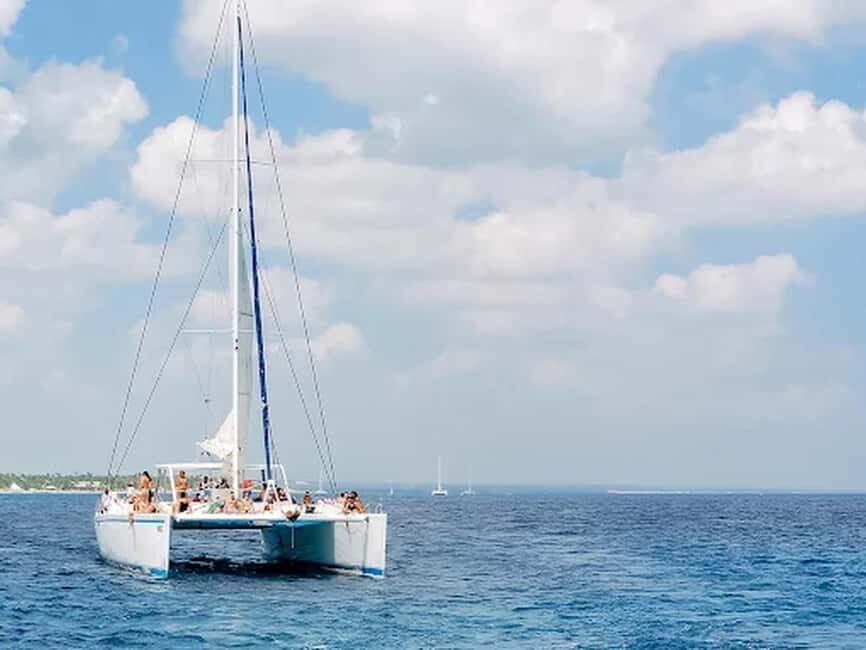 Naples: Catamaran Cruises with Wildlife Views - Authentic Perspectives from Reviews