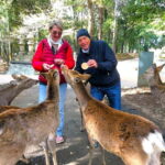 Nara: 3-Hour Guided Tour with Deer, Great Buddha & Shrines - What to Expect from This Tour