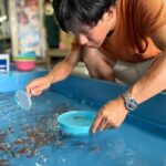 Nara: Discover Koriyamas Goldfish Charm - 2-Hour - Exploring the Tour Itself: A Step-by-Step Breakdown