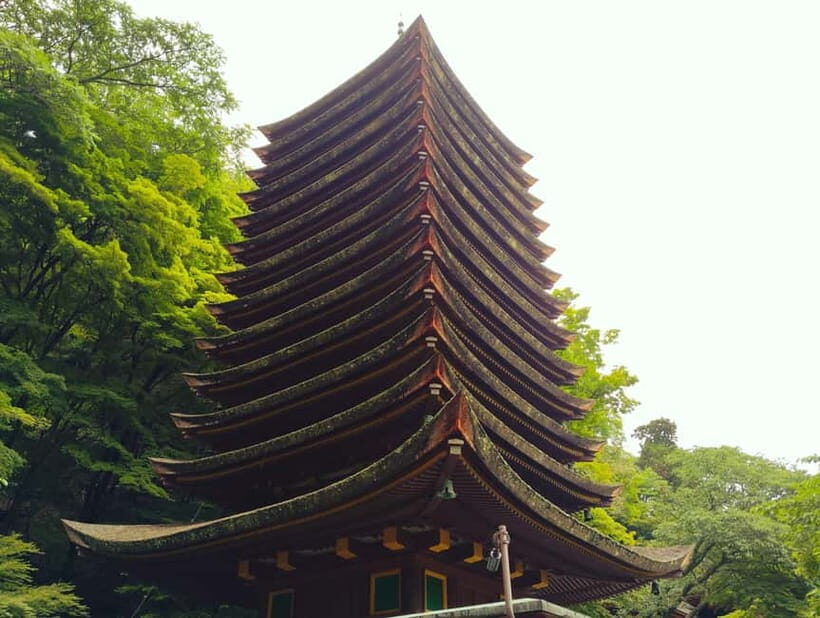 Nara: Explore Tanzan Shrines Pagoda and Sacred History - Who Should Consider This Tour?