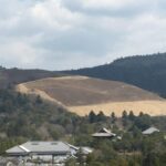 Nara: Half-Day Private Guided Tour - Who Will Love This Tour?
