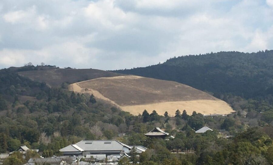 Nara: Half-Day Private Guided Tour - Who Will Love This Tour?