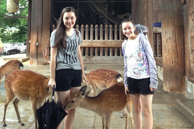 Nara private tour (Shore excursion available from Osaka or Kobe port) - The Sum Up