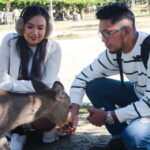 Nara: Private Walking Tour from Osaka - Value and Practical Details