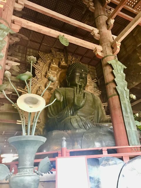 Nara: Todai-ji y parque de Nara (Spanish Guide) - A Full Breakdown of the Itinerary