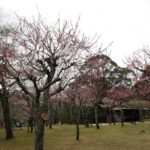 Nara Todaiji Kasuga Taisha Private Full Day Tour From Kyoto - Final Thoughts