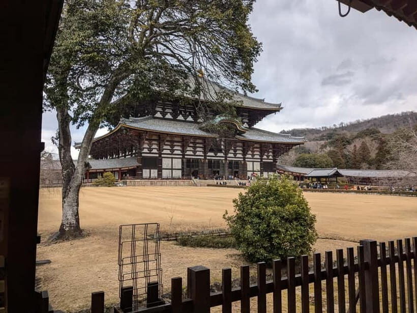 Nara: UNESCO Heritage Sites & Deer Park Tour with Pro guide - What to Expect on This Tour
