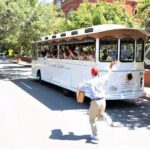 Narrated Historic Savannah Sightseeing Trolley Tour - Authentic Perspectives from Other Travelers