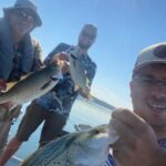 Nashville: Hybrid and Striped Bass Fishing Trip - Final Thoughts: Who Will Love This Experience?