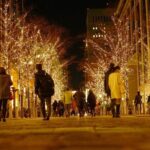 Nashvilles Holiday Harmony: A Private Christmas Melody Tour - Practical Details and What to Expect
