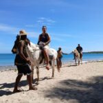 Natadola Beach Tour With Tifajek Mud Pool & Hotspring - Weighing the Value