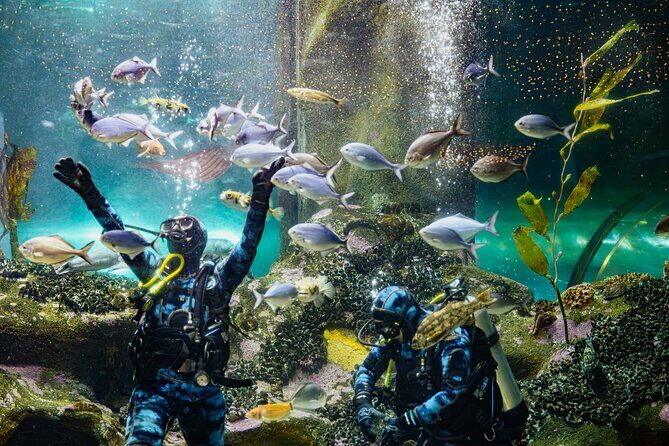 National Aquarium of New Zealand in Napier General Admission - The Undersea Experience: A Highlight