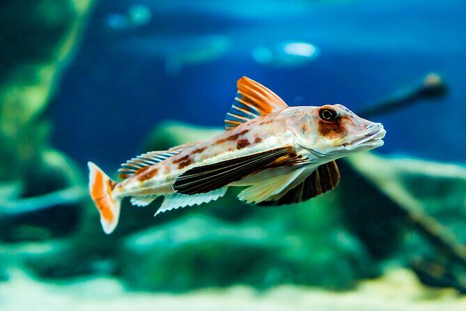 National Aquarium of New Zealand in Napier Native Icons Tour - Who Will Love This Experience?