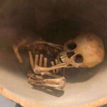 National Museum of Anthropology: a journey into Mexico's past-English lang. - Why This Tour Is a Great Value