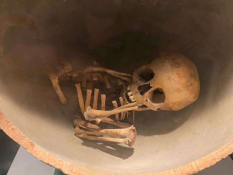 National Museum of Anthropology: a journey into Mexico's past-English lang. - Why This Tour Is a Great Value