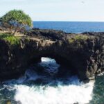 National Park Lava Cliffs and Black Sand Beach - What to Expect on the Day of the Tour