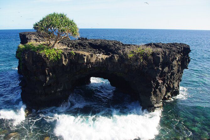 National Park Lava Cliffs and Black Sand Beach - What to Expect on the Day of the Tour