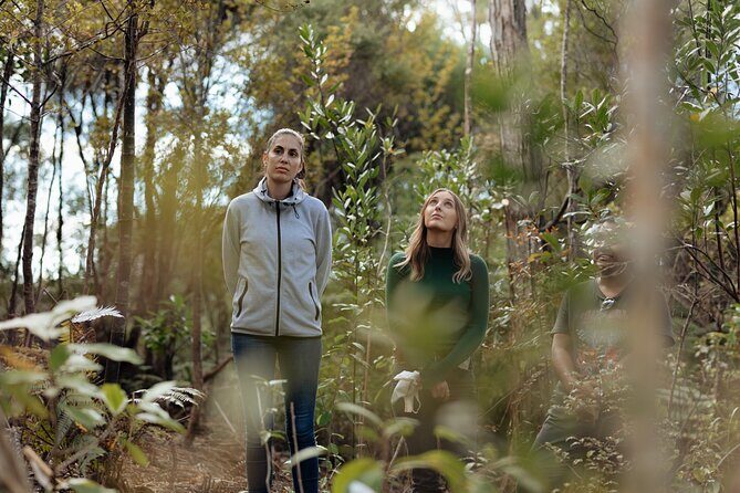 Native Forest Farm Experience Nourishing Nature in Auckland - Evaluating the Value