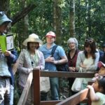 Natural Bridge Glow Worm Night Tour from Gold Coast - What You Can Expect from the Tour