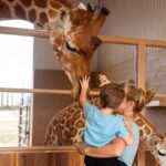 Natural Bridge Wildlife Ranch: Self-Guided Safari Drive-Thru - Authentic Insights from Visitors