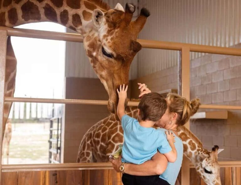 Natural Bridge Wildlife Ranch: Self-Guided Safari Drive-Thru - Authentic Insights from Visitors