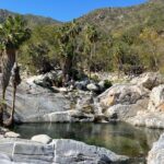 Natural Hot Springs Experience - The Itinerary: What You Can Expect