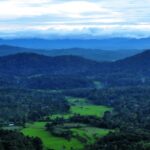 Nature & Spiritual Trails of Coorg (Guided Walking Tour) - Why This Tour Offers Great Value