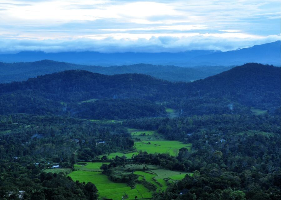 Nature & Spiritual Trails of Coorg (Guided Walking Tour) - Why This Tour Offers Great Value