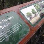 Nature Tour - The Full Breakdown: What to Expect from the Tour