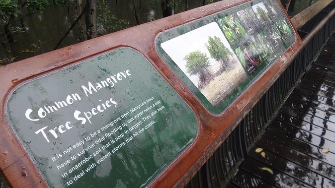 Nature Tour - The Full Breakdown: What to Expect from the Tour