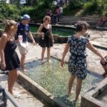 Nature Tour to Kuala Selangor Fireflies and Selayang Hotspring - An In-Depth Look at the Kuala Selangor Fireflies and Hot Springs Tour